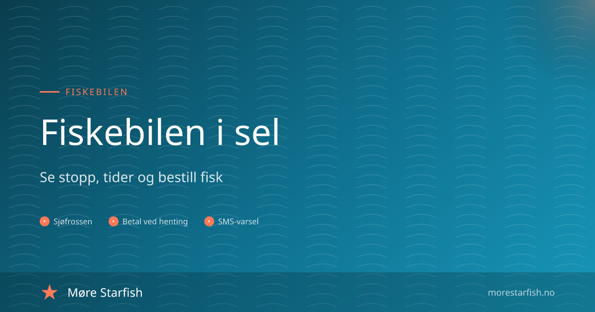 Fiskebil sel | Sjøfrossen fisk og skalldyr | Møre Starfish